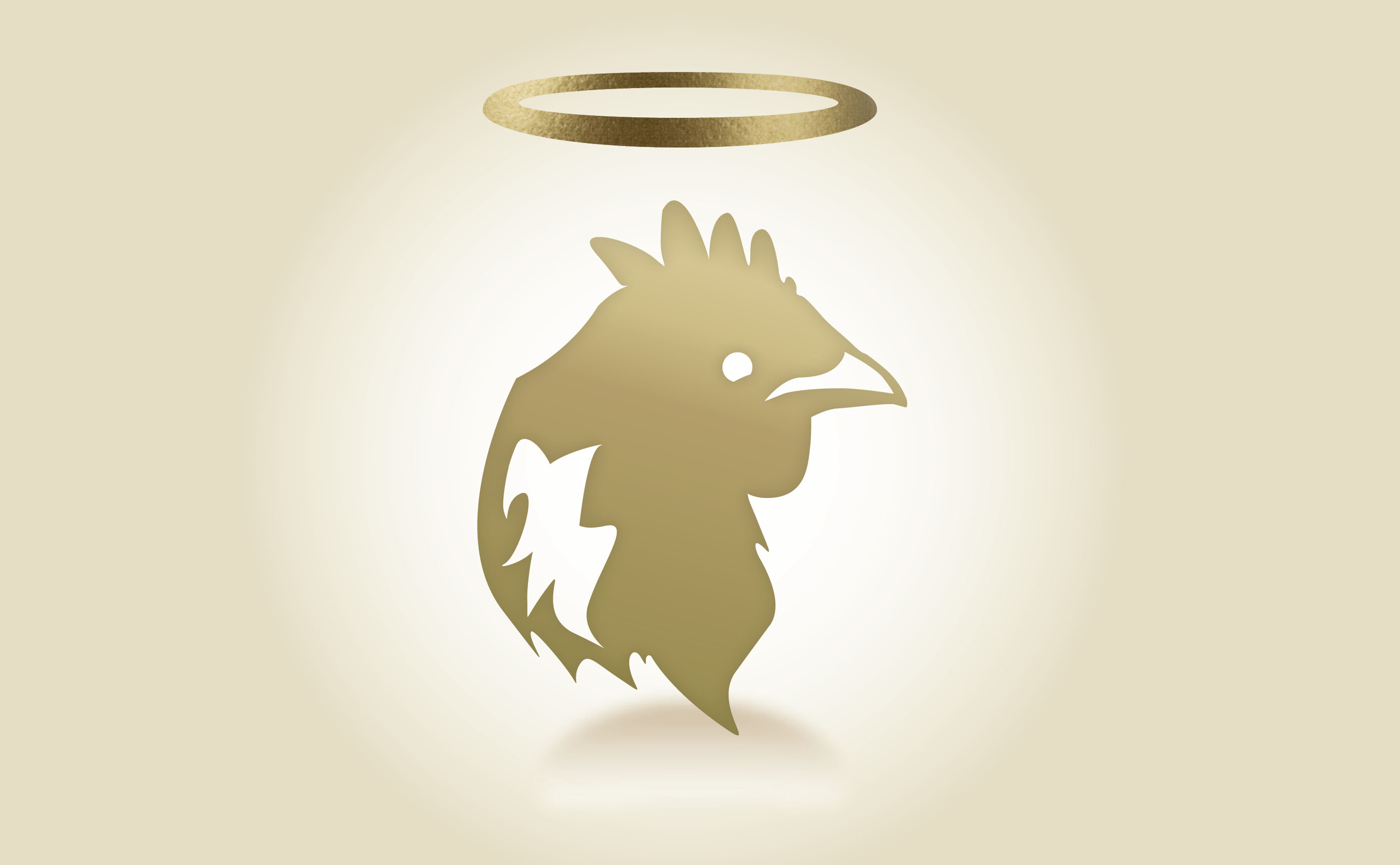 Broiler Chickens | Compassion in Food Business