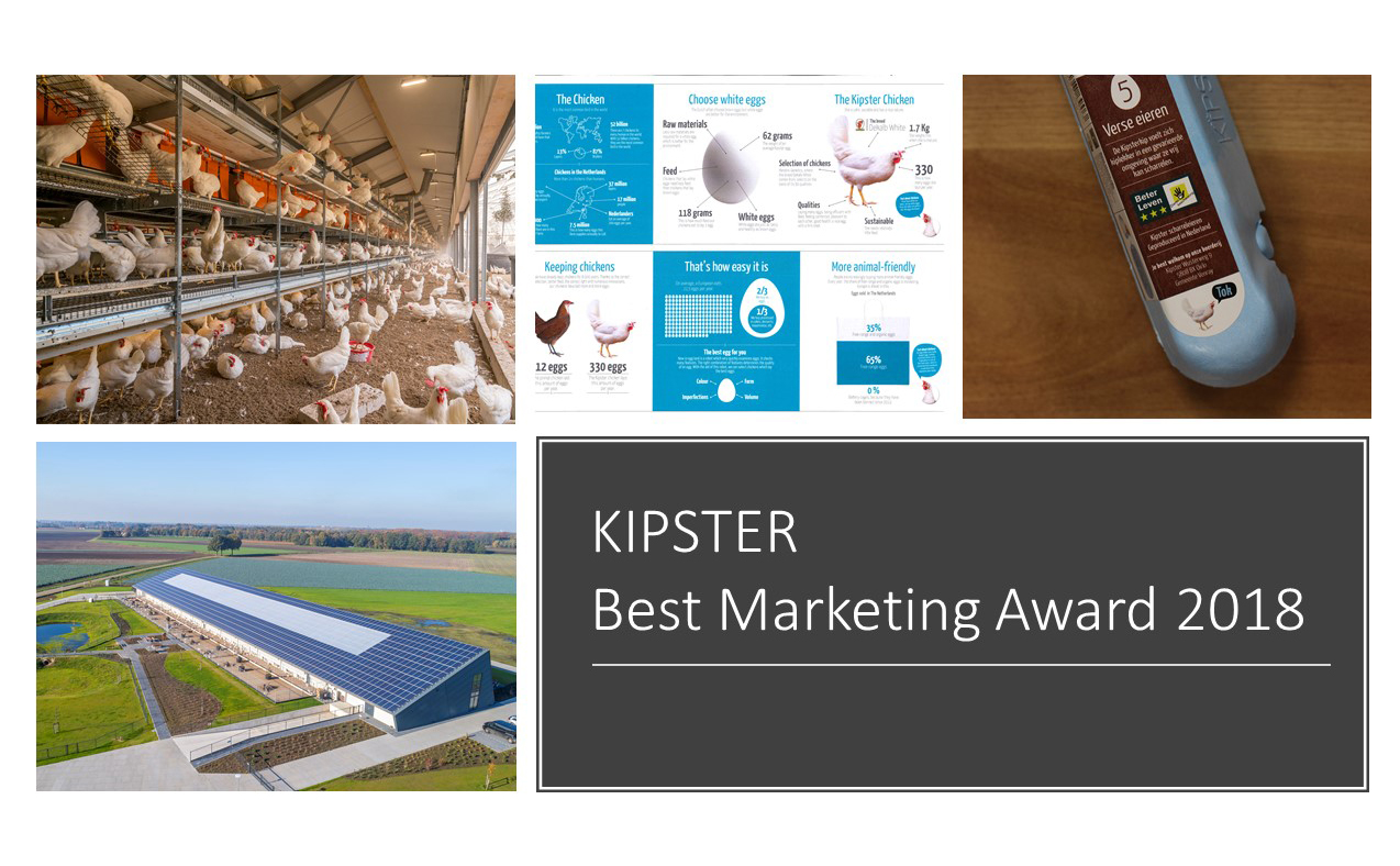 Our Impact | Compassion in Food Business