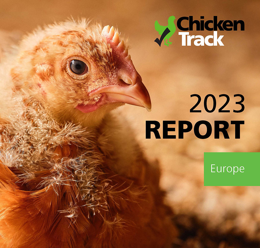 Chicken Track Compassion in Food Business | Compassion in Food Business